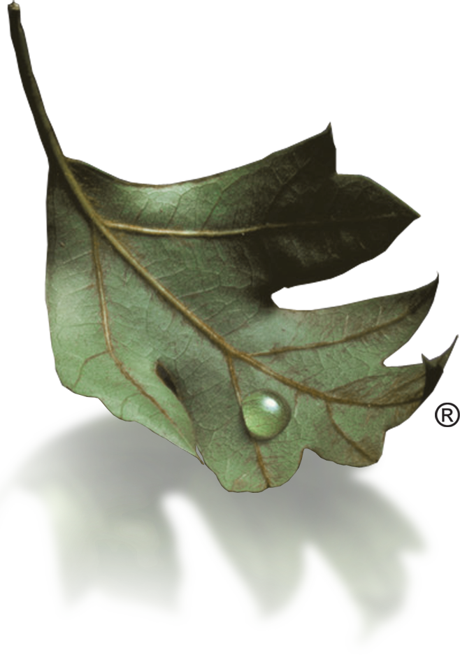 New Grief Support Products | Memory Journals & Seeds